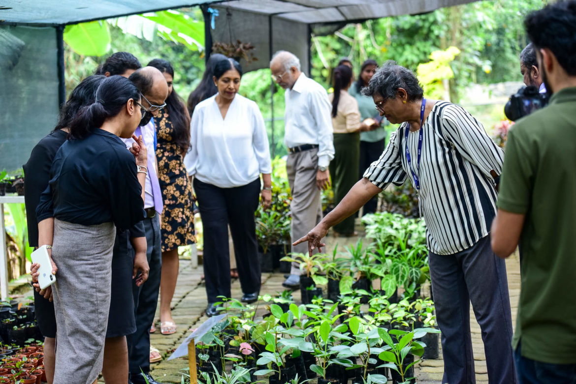 The automation of greenhouse operations, vegetable seed sales | SLIIT